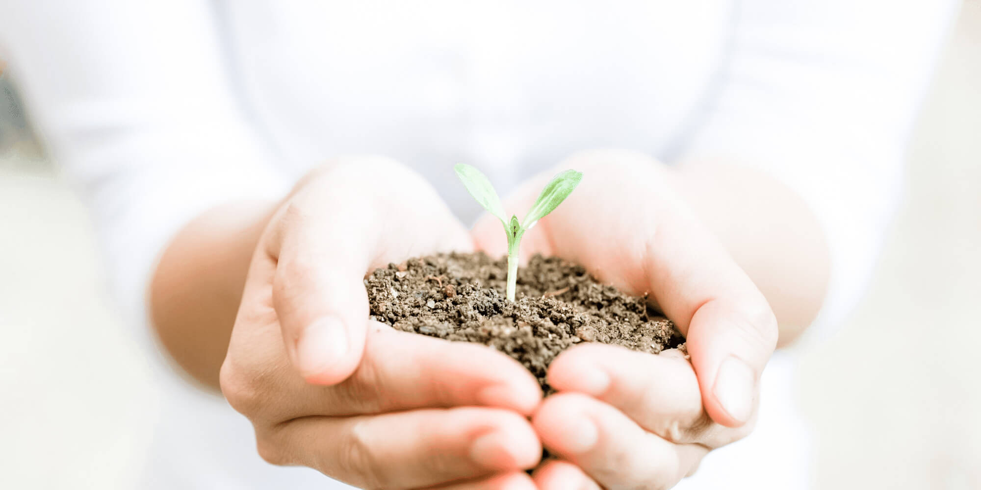 Giving Impact Report – Mahaska Health Foundation